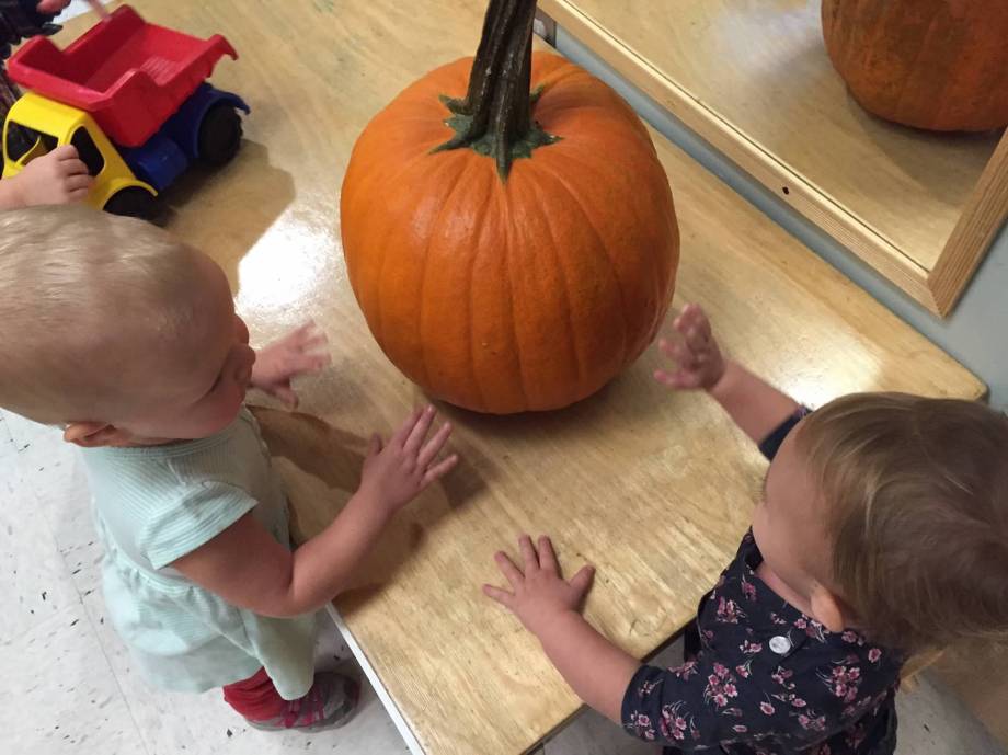 How Toddlers “Do” Friendship