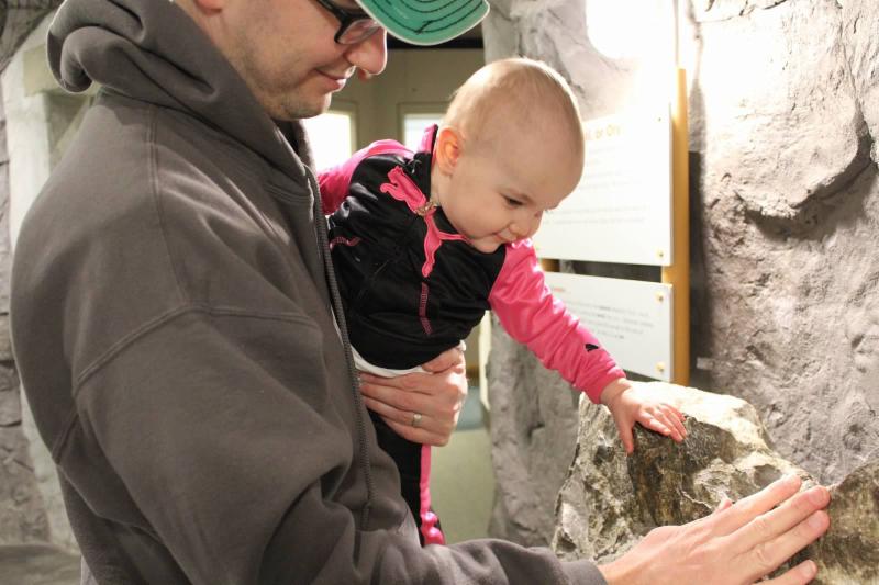 Object of the Month: Rocks Gallery at the National Museum of Natural ...