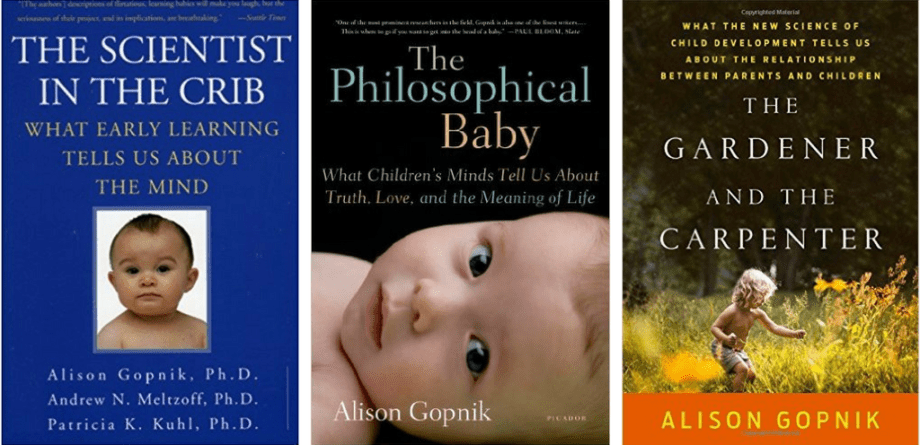 From Blobs to Beings: An Overview of Research on Baby Brains