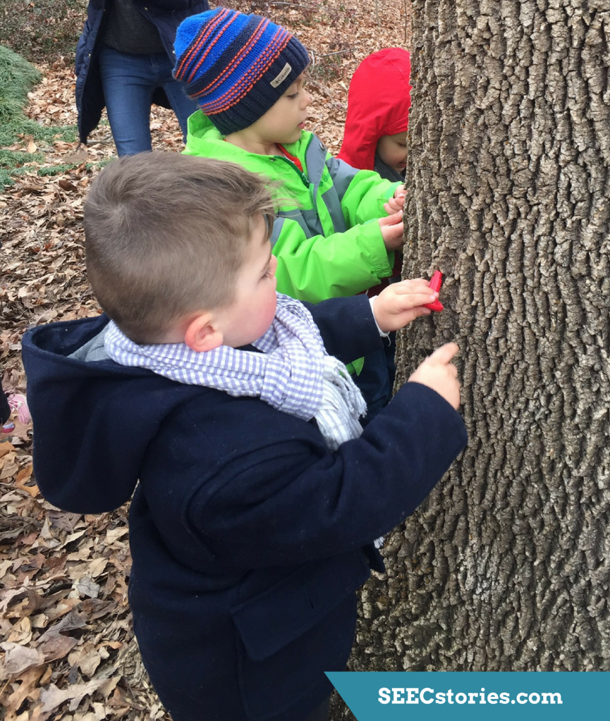 Get Out of the Classroom and Into Nature: The Importance of Nature Play ...
