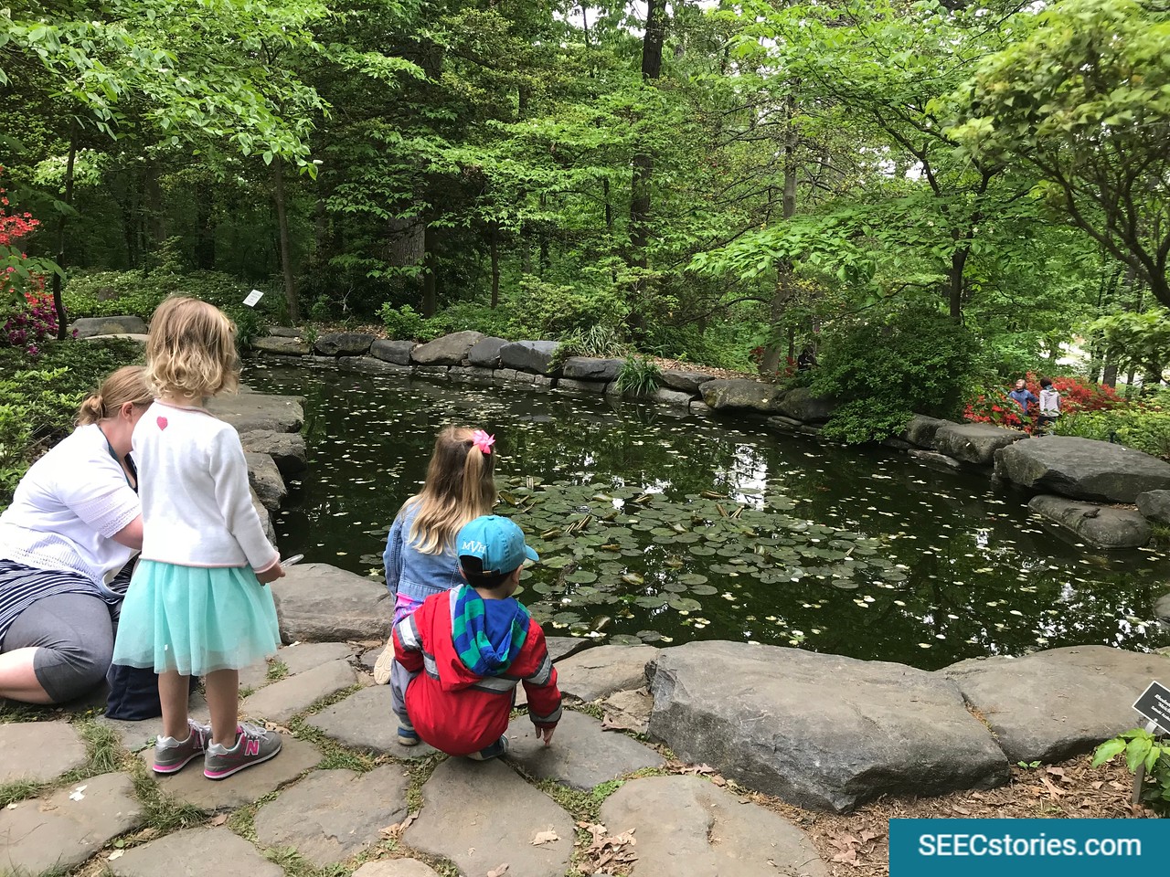 10 Reasons Your Child’s Rock Collection is Important